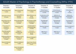 Master of Psychology in Psychotherapy & Counselling (MPsy-PTH) Stream ...